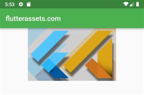 how to use image assets and image network in flutter