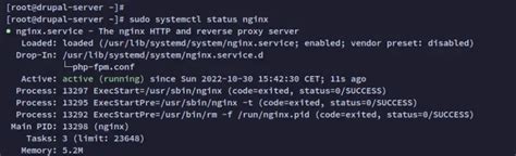 how to install drupal cms with nginx on rocky linux 8