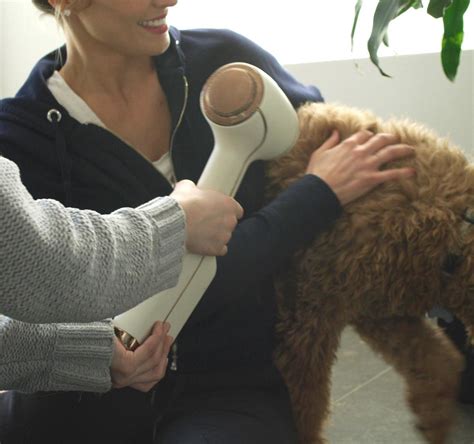 This Cordless Hair Styling Device Dries Hair On The Go