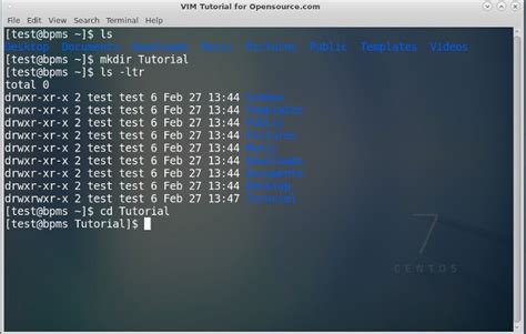 vim入门 vim入门：基础知识 csdn博客