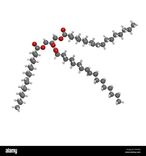 Trans Fat Containing Triglyceride Elaidyl Stearyl Oleyl Triglyceride