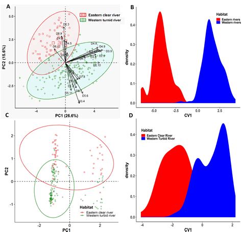 Frontiers Morpho Genetic Divergence And Adaptation Of Anadromous