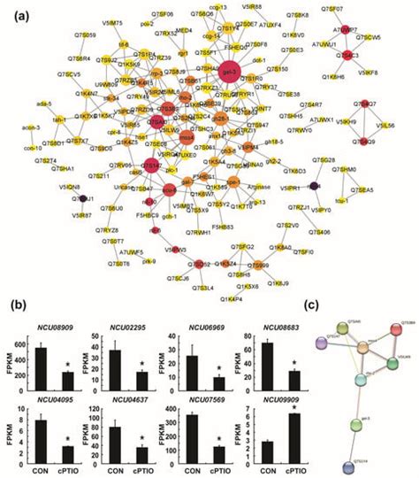 Jof Free Full Text Rna Seq Based Transcriptome Analysis Of Nitric