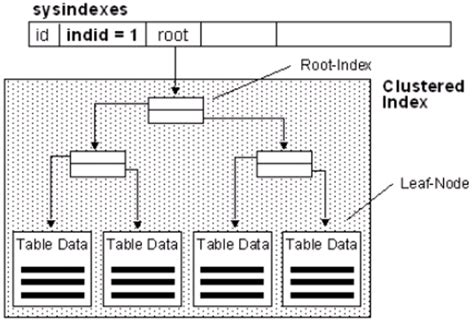 difference between clustered index and non clustered index database