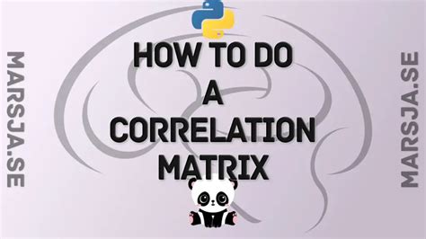 create a correlation matrix in python with numpy and pandas