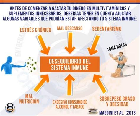 Sistema Inmunológico 5 Aspectos Clave Para Reforzarlo