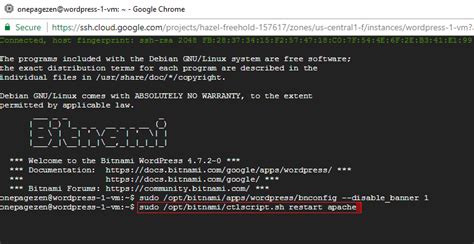 restarting the apache server systran box