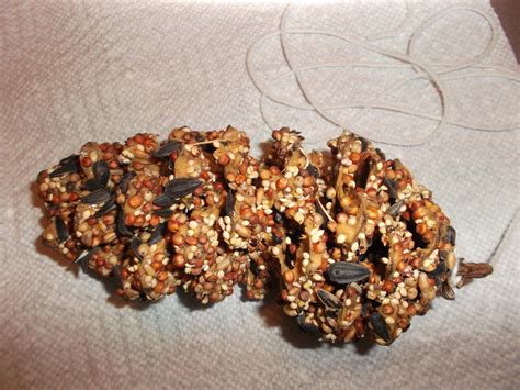 handmade peanut butter and bird seed pine cone feeder