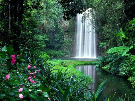 Tropical Rainforest Waterfalls Wallpaper