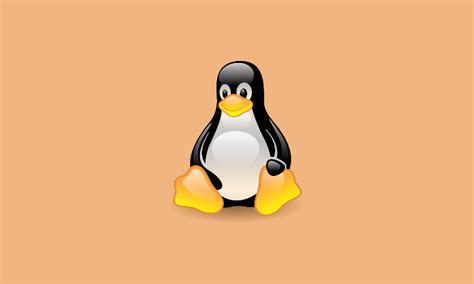 commands to check memory information in unix linux