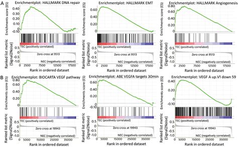 Enriched Gene Sets Within Tec Signature Gsea A Enrichment Plots