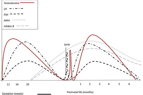 Differences Of Sex Development Article Glowm