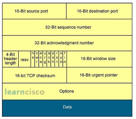 tcp vs udp tcp 3 way handshake icnd1 100 105