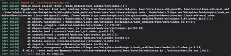 typeerror can not find node binding files from swc core win32 x64 gnu