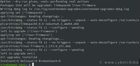 set up automatic unattended updates for ubuntu 20 04