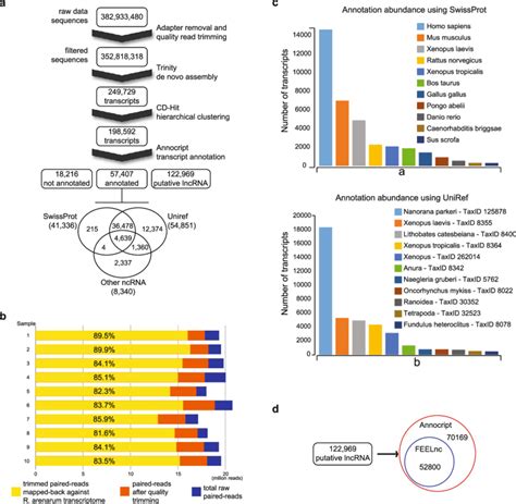 De Novo Transcriptome Assembly Of Rhinella Arenarum A Flow Diagram