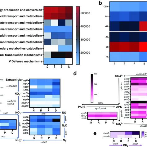 Shotgun Metagenome Sequencing Analysis Of Four Mangrove Download
