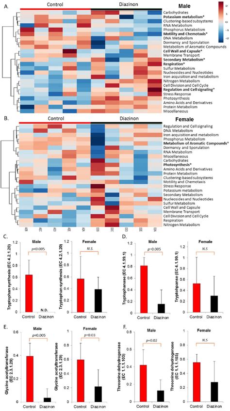 Sex Selective Effects Of Diazinon Exposure On Modulating Functional
