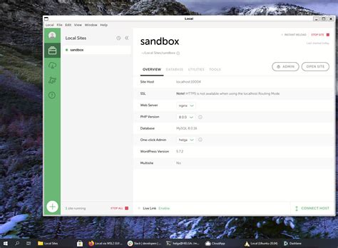 local via wsl2 gui is much faster than windows 10 native workflow