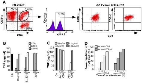A Distribution Of Cd3 T Cells Subsets Based On Cd4 Cd8 In The M314