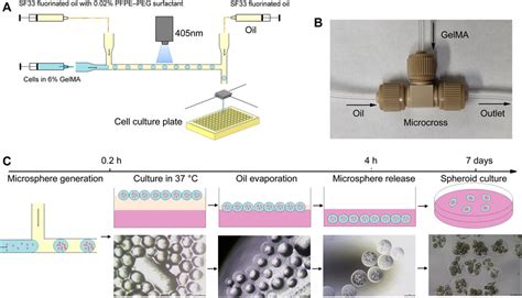 Frontiers One Step Generation And Purification Of Cell Encapsulated