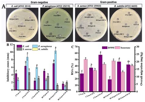Antibacterial Activity Of The Chitosan Collagen Composite Membranes
