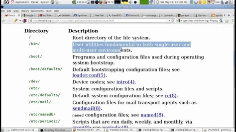 lesson 6 freebsd unix directory structure بنية شجرة الملفات arabic