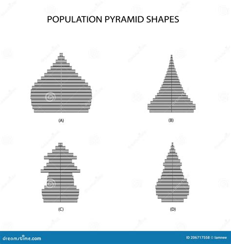 The 4 Types Of Population Pyramids Graphs Stock Vector Illustration