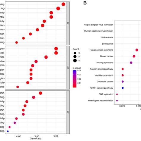 Go And Kegg Enrichment Analysis Results Of 612 Overlapping Degs A
