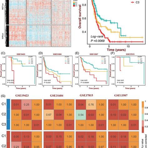 Identification And Validation Of Blca Subtypes A Heatmaps Show Gene