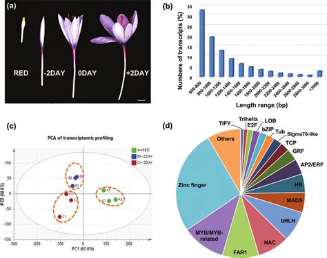 Transcriptional Profiling And Transcriptomic Shifts In The
