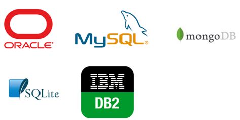 definition of database management systems dbms made easy lec 2