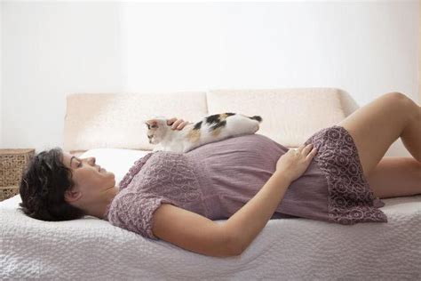 What To Do If Your Cat Is Pregnant Nouveaux Bébés Idées Photos