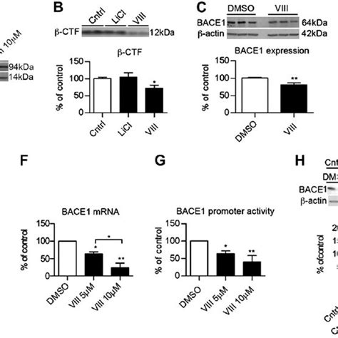 Tcf Lef Reporter Gene Assay And Regulation Of Axin2 Mrna Levels By The