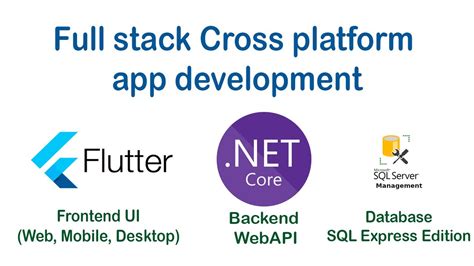 1 flutter frontend ui backend web api 5 full stack cross