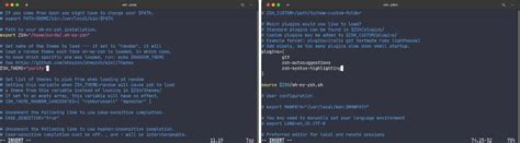 zsh oh my zsh on linux and macos