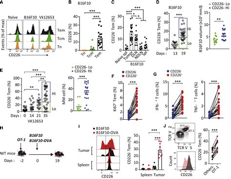 Eomes Dependent Loss Of The Co Activating Receptor Cd226 Restrains Cd8