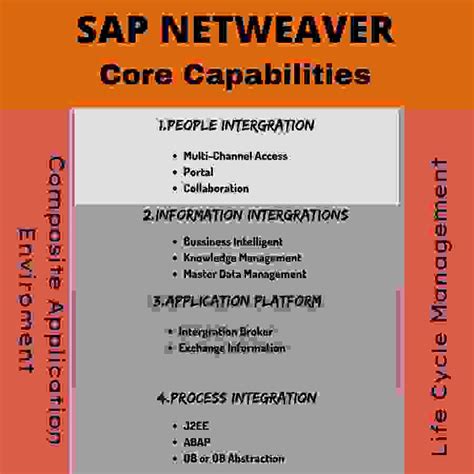 sap netweaver an overview