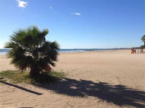 Free Images Beach Landscape Sea Coast Tree Sand Ocean Horizon