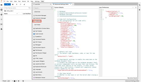 posit workbench user guide recommended settings and extensions in