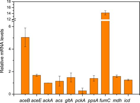 Relative Transcription Levels Of Genes Related To Succinate