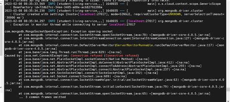 unable to connect to mongodb atlas cluster from springboot application