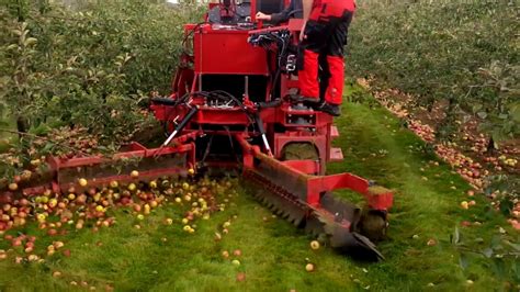 Cider Apple Harvesting Herefordshire Feucht Obsttechnik Ob Future 2