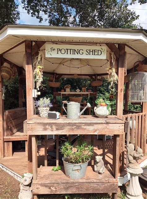 The Feathered Nest