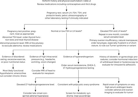 Primary Amenorrhea Algorithm
