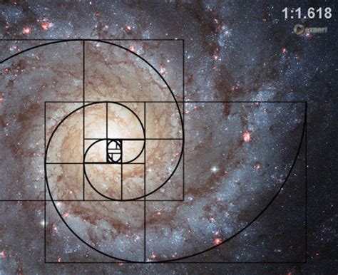 fibonacci sequence of numbers