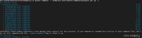 ubuntu使用docker compose安装postgresql 流觞浮云的博客 csdn博客