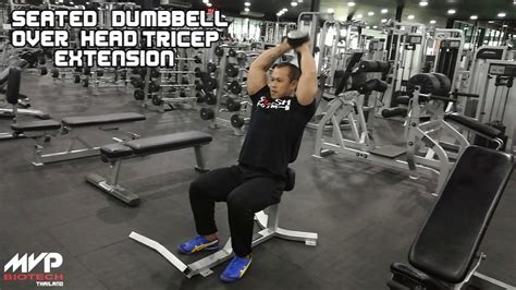 How To Seated Dumbbell Overhead Tricep Extension Youtube