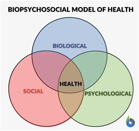 Precipitating Factors Definition And Examples Biology Online Dictionary