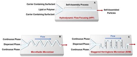 Microfluidic Platforms For Generation Of Self Assembled Drug And Gene